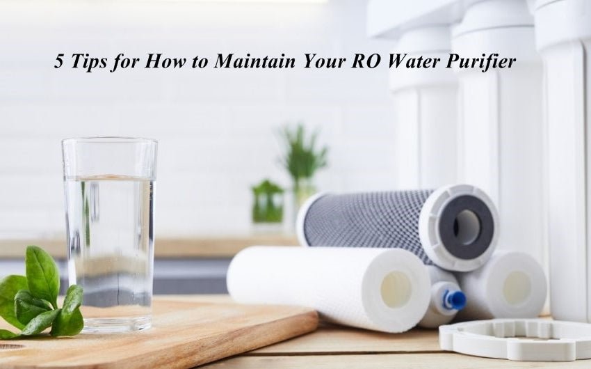 5 Tips for the Maintenance of RO Water Purifier at Home – Livpure