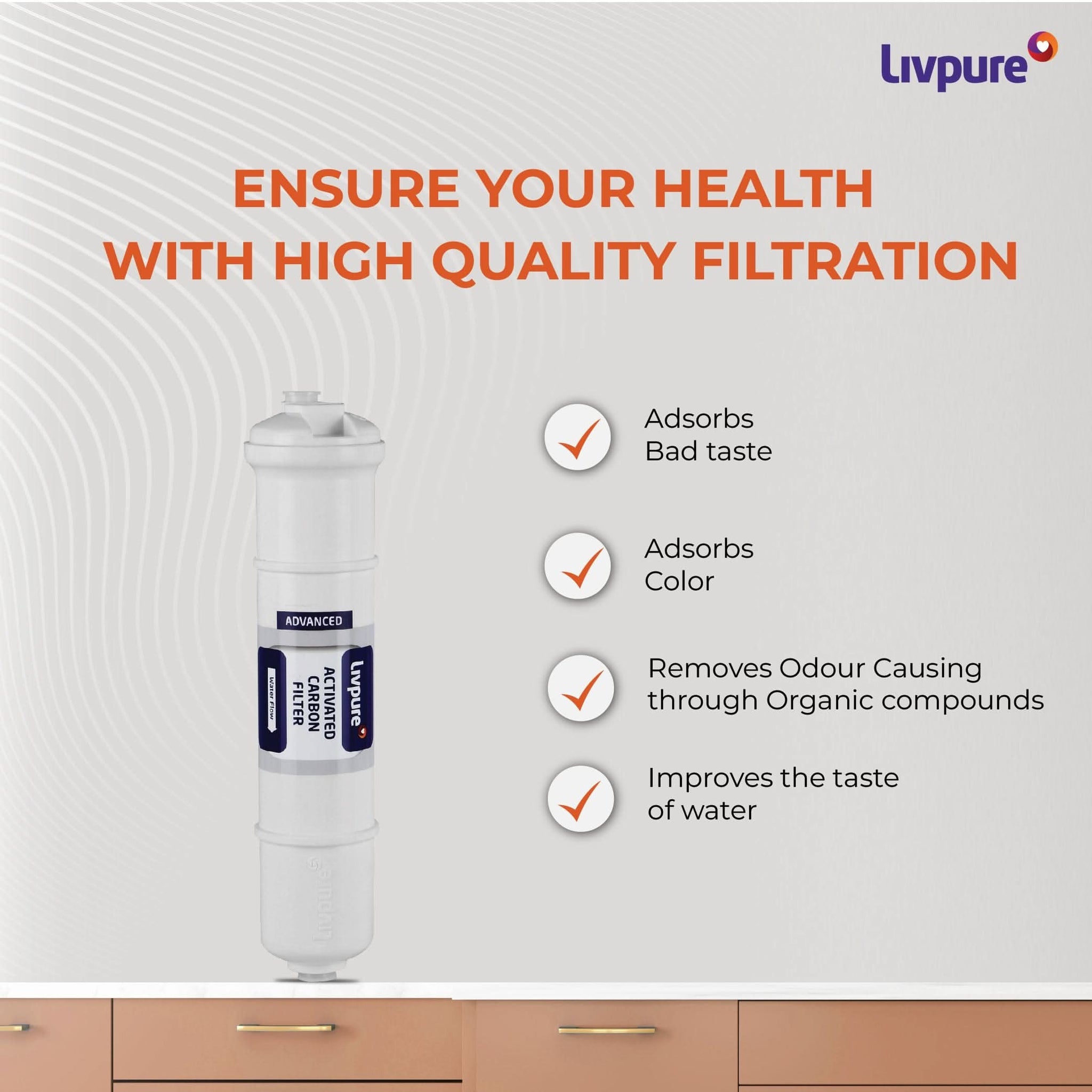 Activate Carbon Filter – Livpure